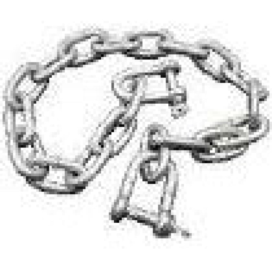 Trailer Safety Chain Clamps RACOONA Winch Hook,Chain Hook,1/4 Inch
